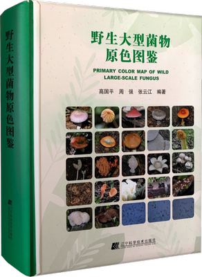 野生大型菌物原色图鉴  9787559113832高国平，周强，张云江著 辽宁科学技术出版社  收集野生大型菌物626种 菌物鉴定工具书