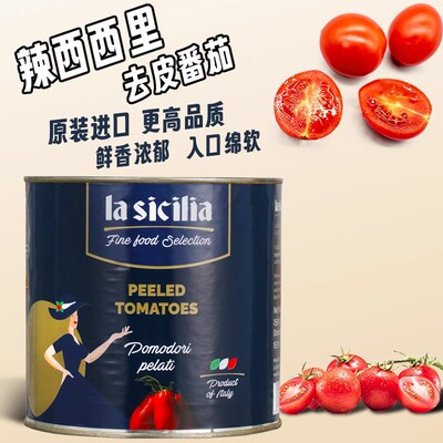 意大利进口意式披萨酱商用