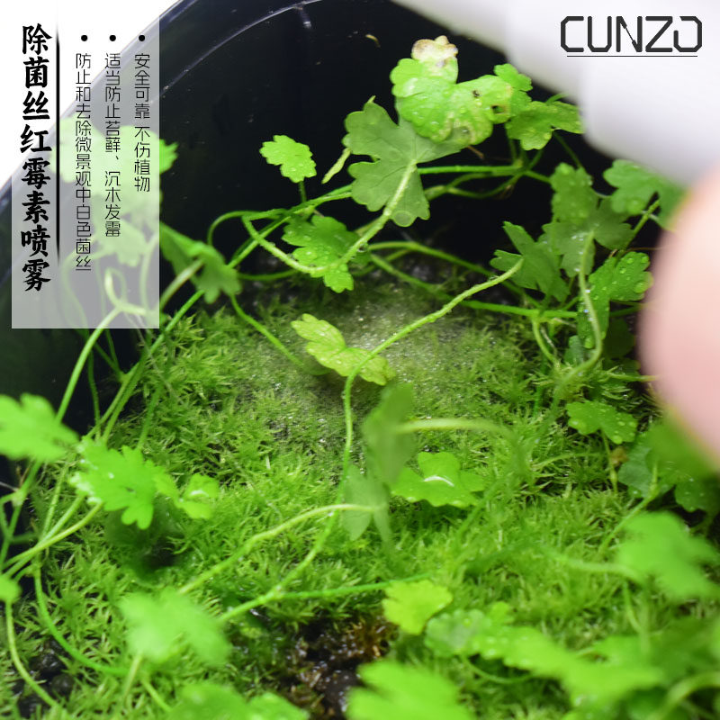微景观去除预防白毛白色菌丝防发霉溶液