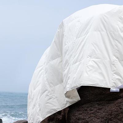 Snowman/斯诺曼夏凉被90白鸭绒被凉爽空调被透气夏被羽绒被子被芯