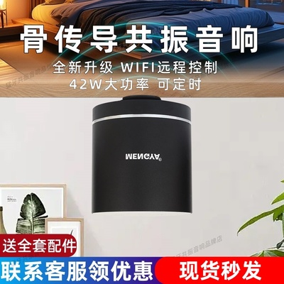 猛牙M7共振音响42W大功率WIFI联网远程版骨传导音箱遥控器定时播