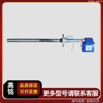 GESTRA NRGT26-1S H=975mm液位电极