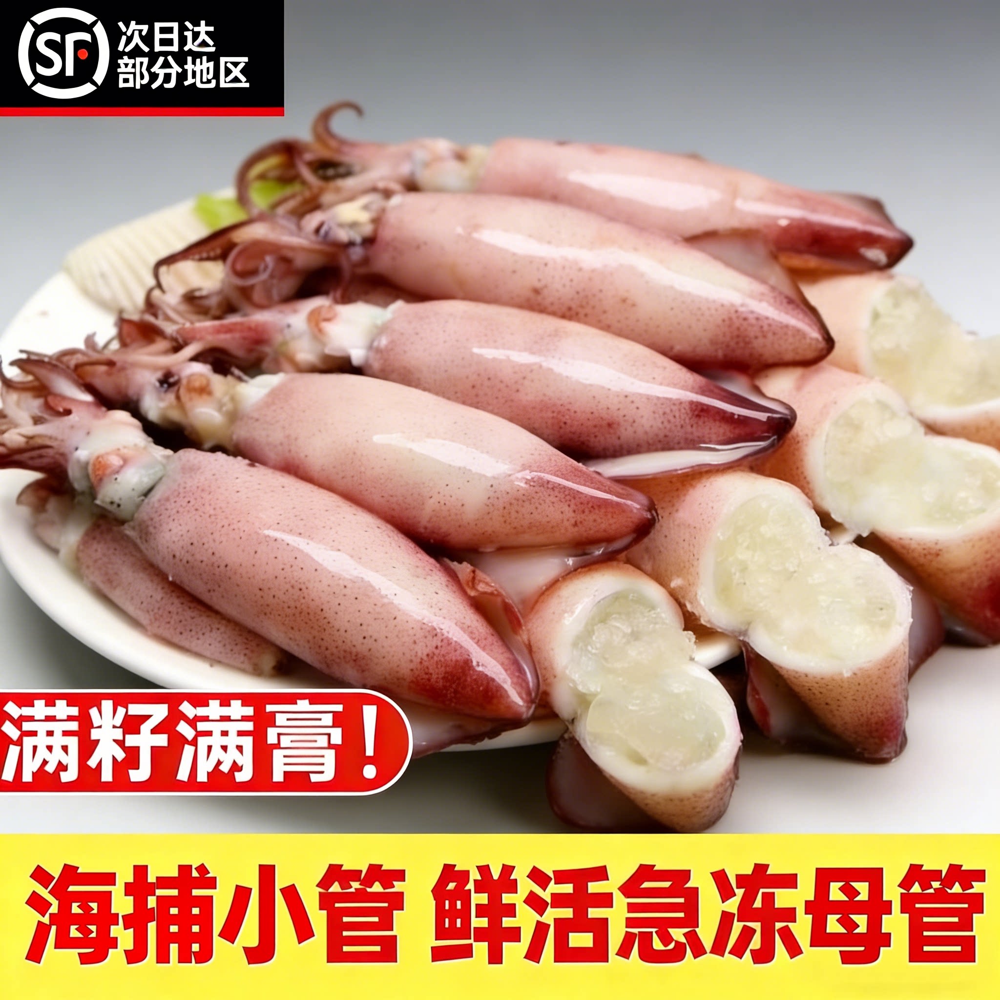【顺丰空运】满籽乌全籽带籽新鲜笔管鱼鱿鱼满籽海兔子无沙小海兔