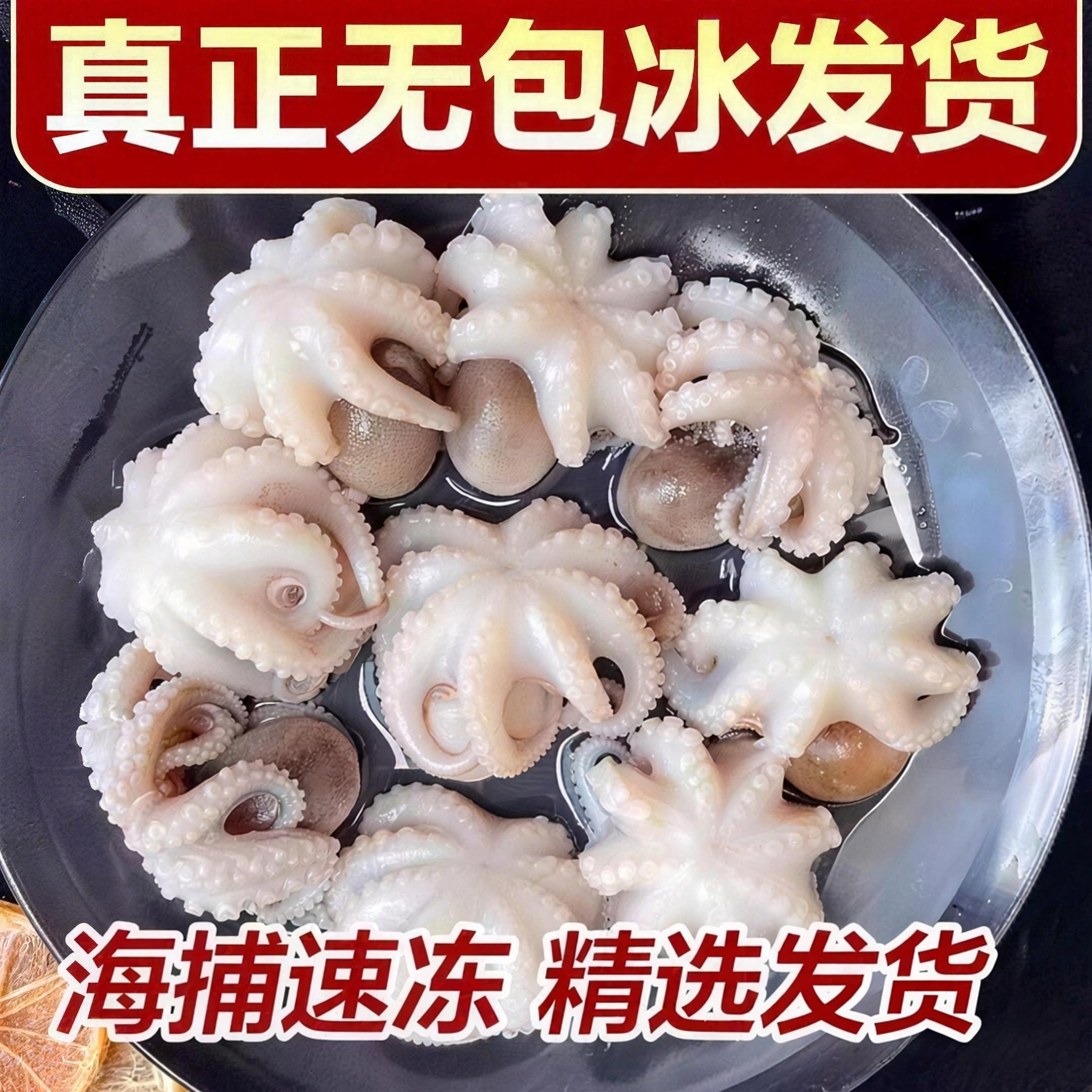 【顺丰到家】八爪鱼鲜活海鲜小章鱼水产新鲜爆头八抓鱼冷冻去内脏