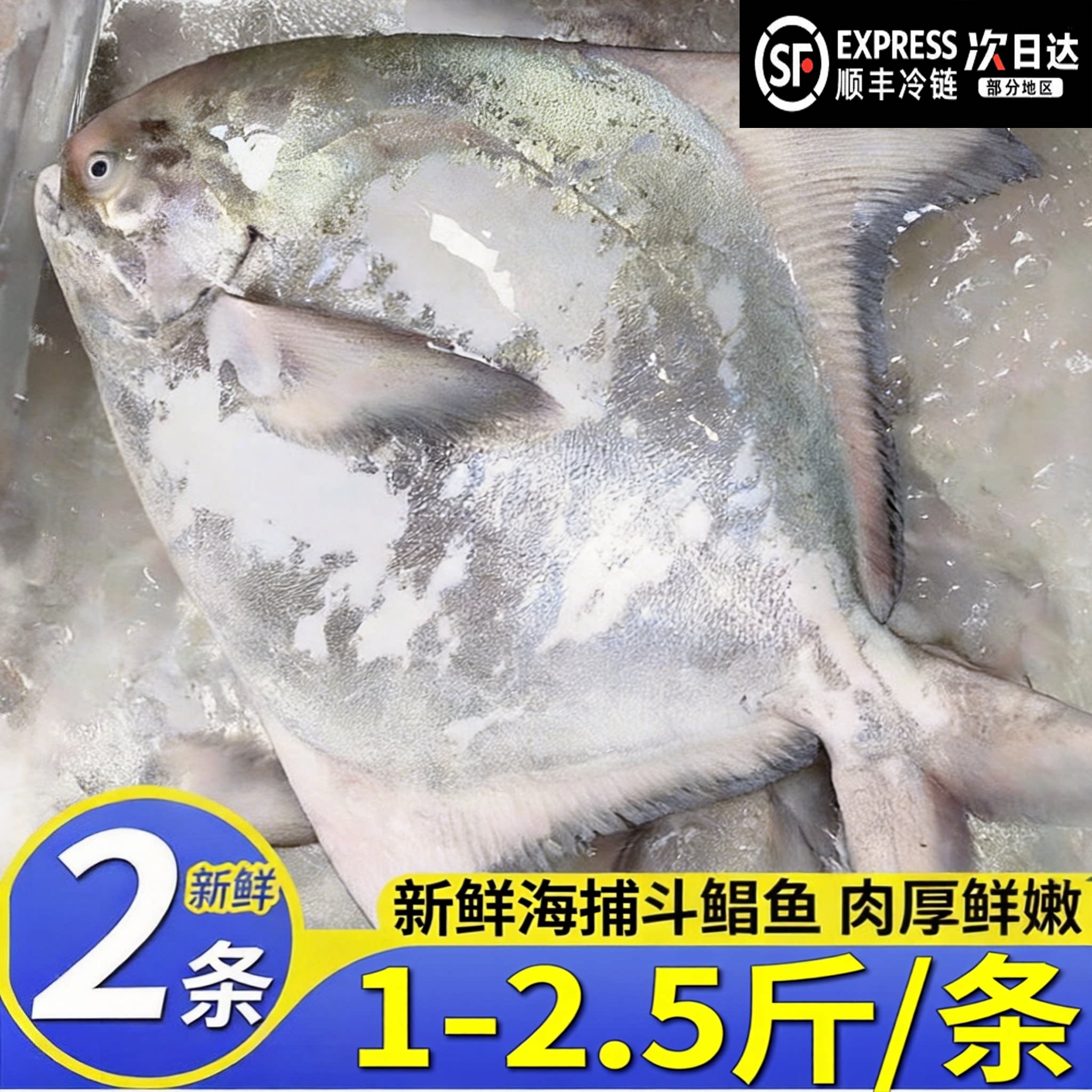 【顺丰到家】深海捕捞斗鲳鱼海鲜水产冷冻新鲜超大白鲳鱼斗鲳鱼王