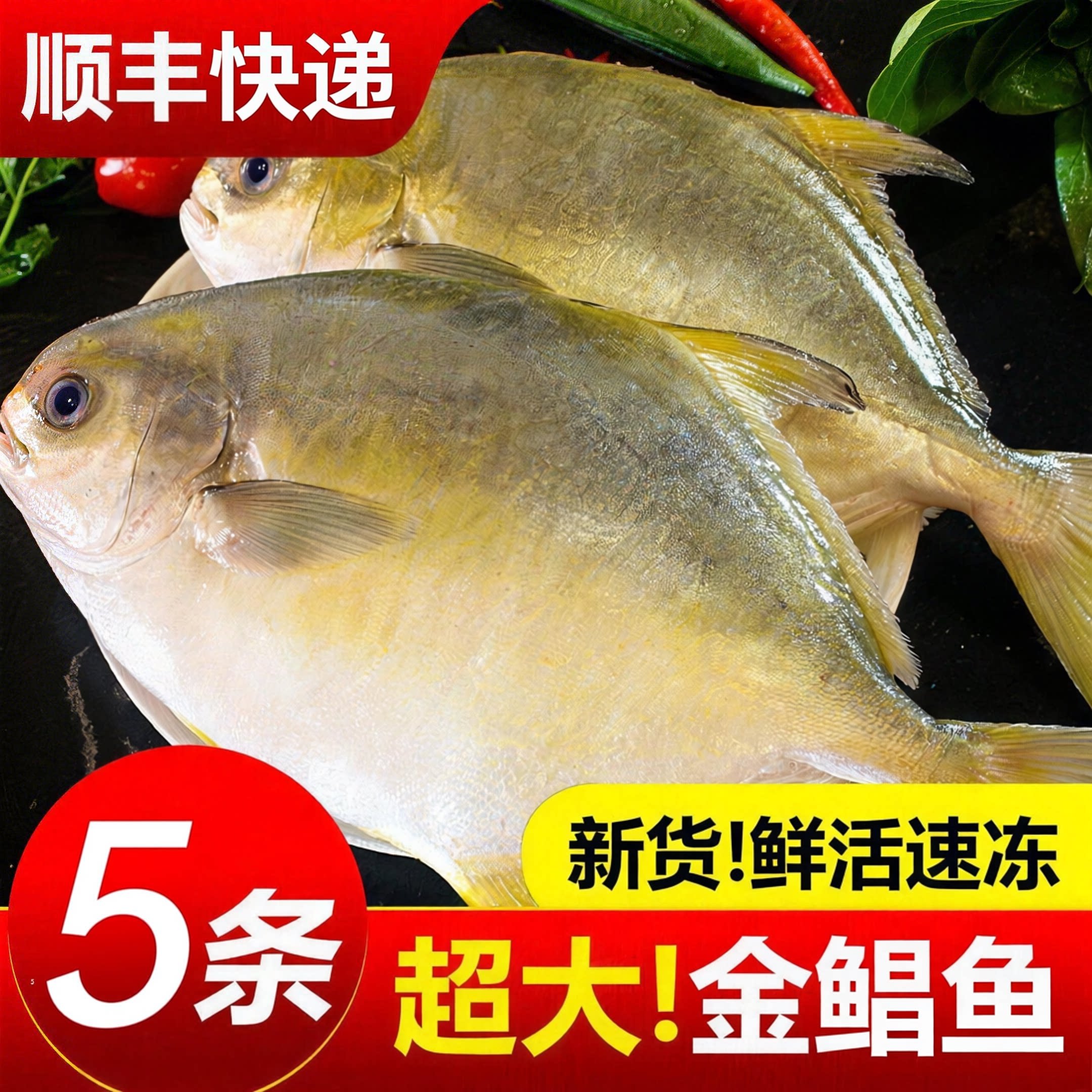 【顺丰到家】金鲳鱼新鲜冷冻鲳鳊鱼金昌鱼海鱼平鱼白鲳冰鲜银鲳鱼