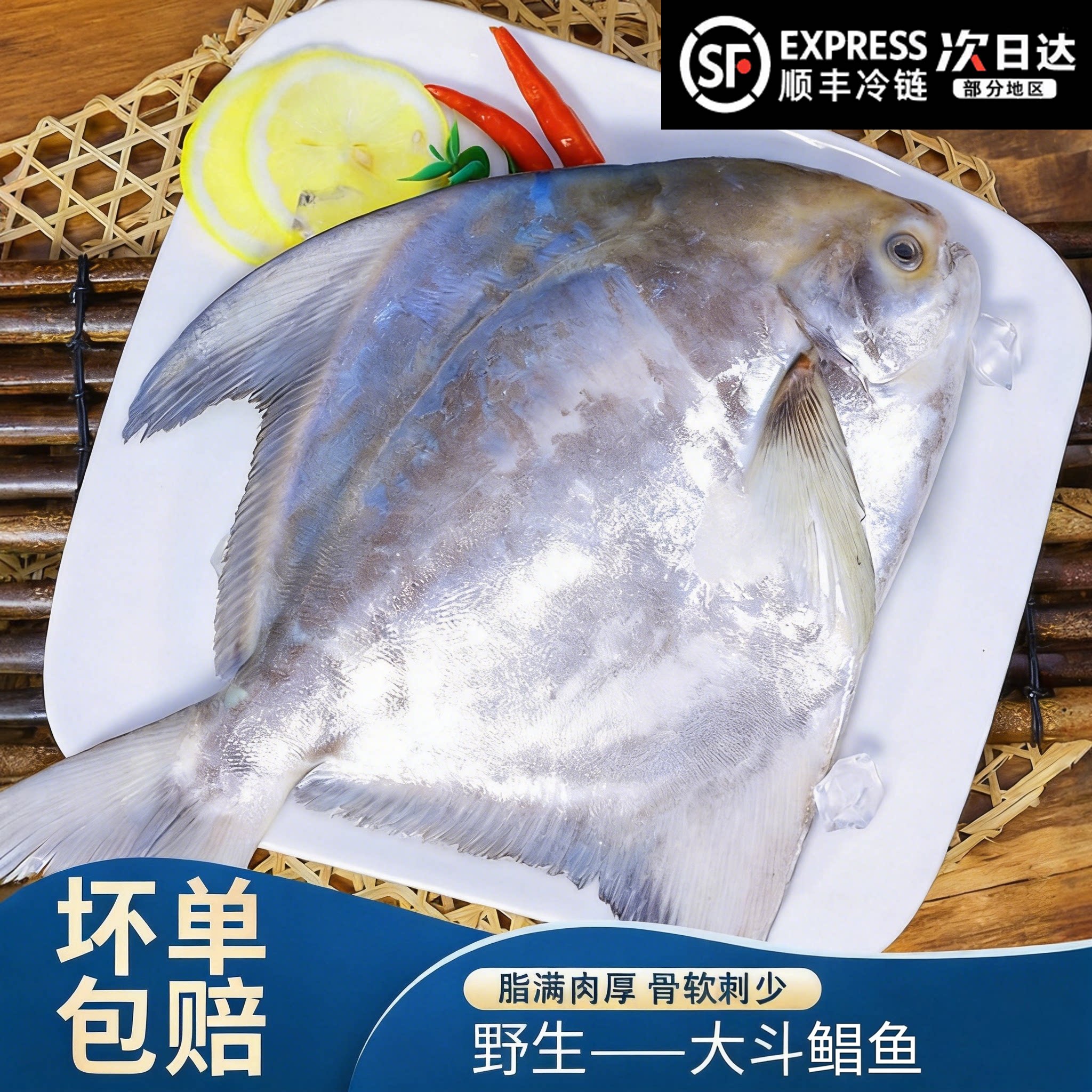 【顺丰到家】海捕特大斗鲳鱼鲜活冷冻东海超大白鲳鱼深海鲳鱼速冻