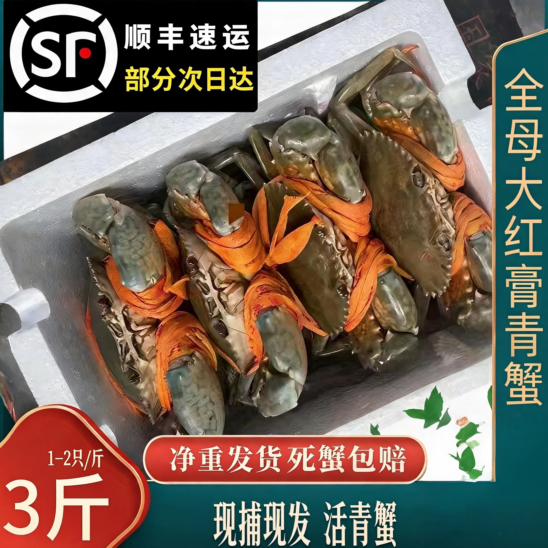 【顺丰到家】青蟹鲜活特大红膏蟹蝤蠓肉蟹红鲟海鲜水产大螃蟹活蟹