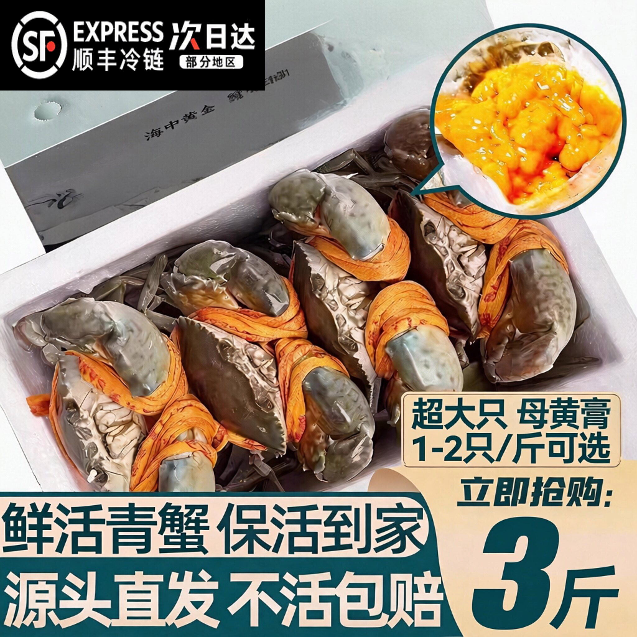 【顺丰到家】青蟹鲜活全母膏蟹超大特大海蟹满黄红膏螃蟹非黄油蟹