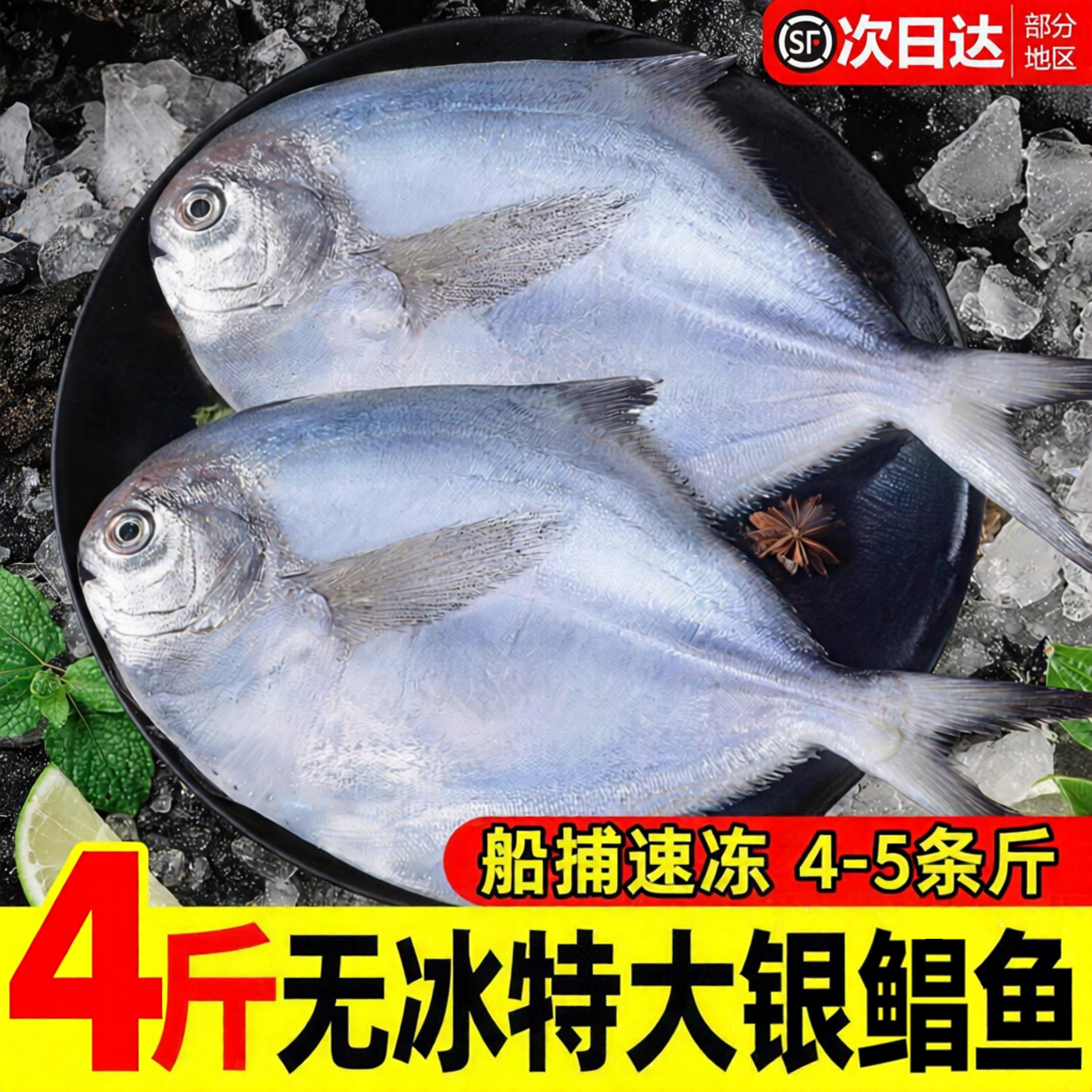 【顺丰到家】银鲳鱼新鲜冷冻金鲳鱼海鲜小鲳鱼昌鱼平鱼鲳鳊鱼晶鱼