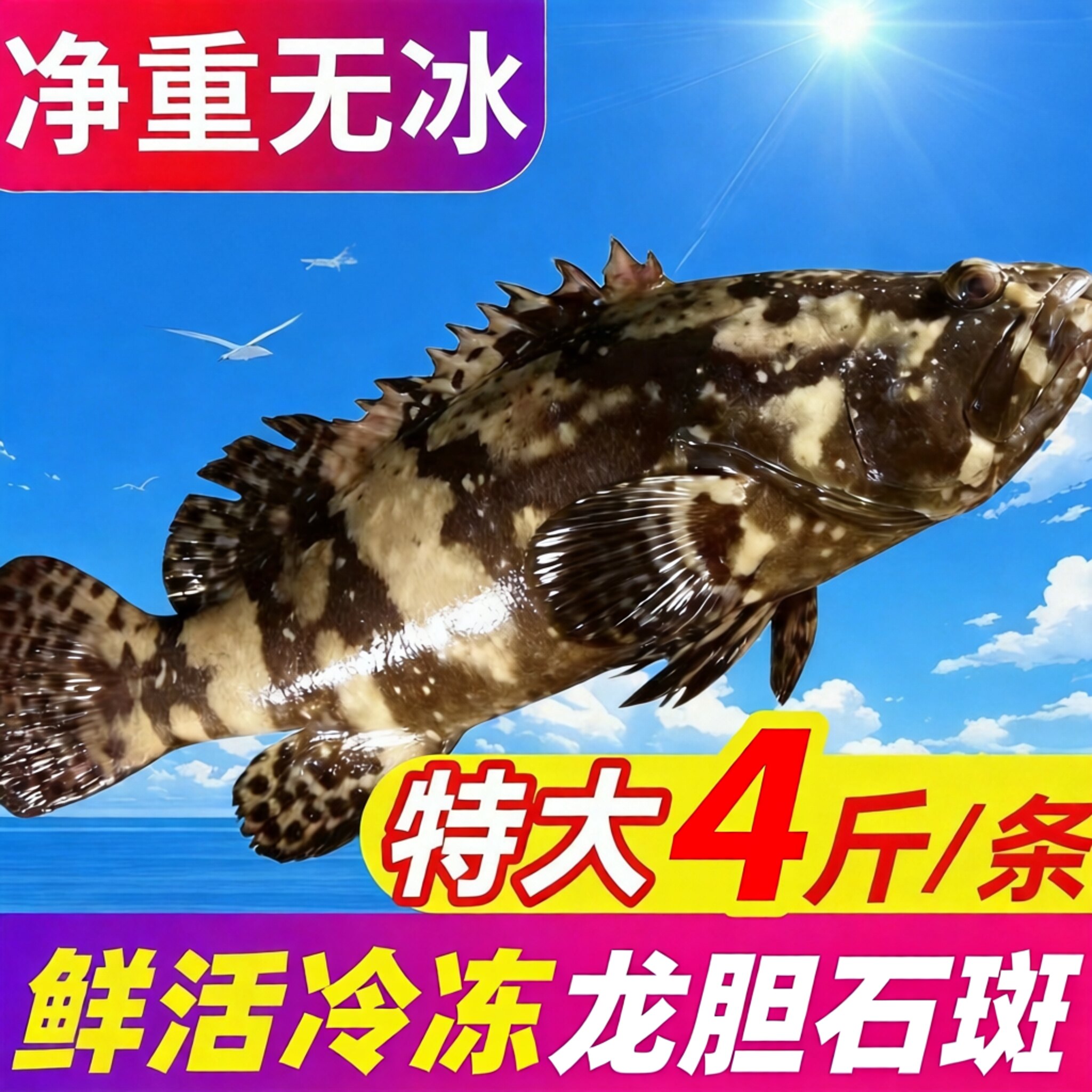 【顺丰到家】龙胆石斑鱼冷冻鲜冻斑鱼龙胆珍珠龙趸石斑鱼新鲜海鱼