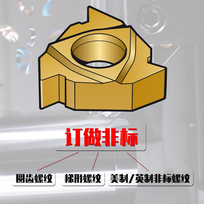 订做非标硬质合金螺纹刀片牙刀粒