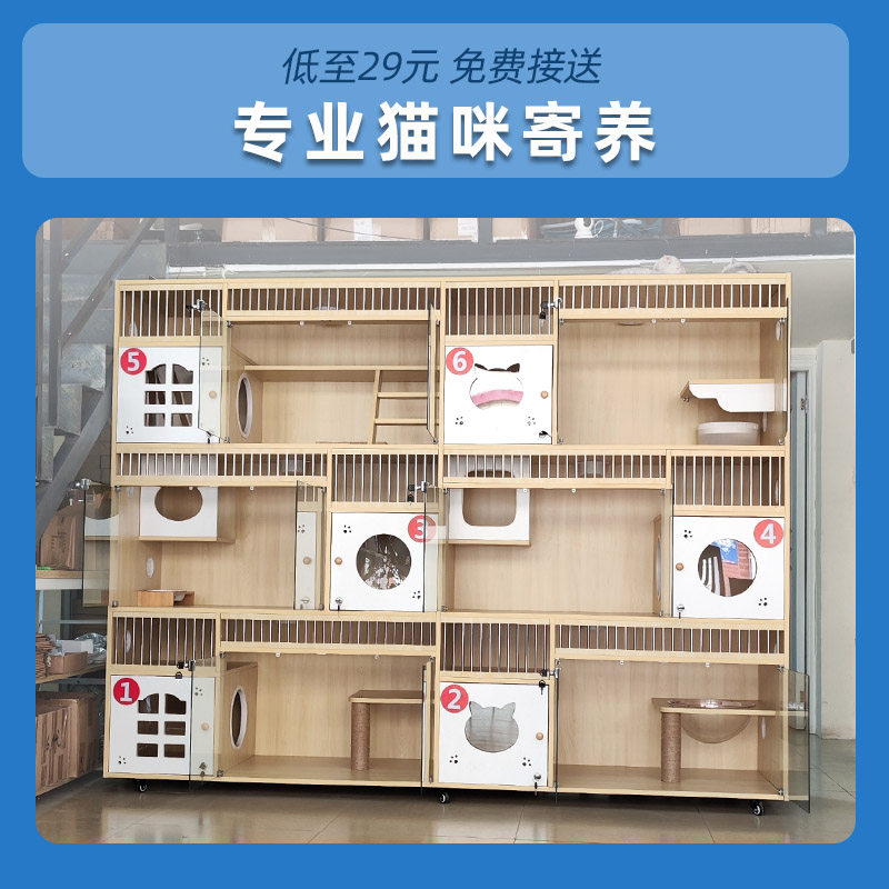 南宁猫咪寄养宠物服务双多层别墅木质宽敞低至30元/天免费接送