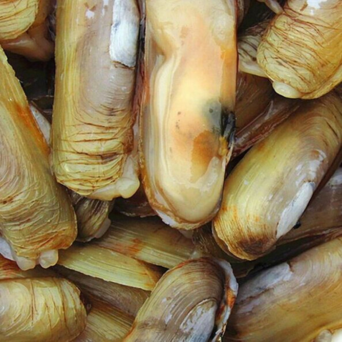 乐清蒲岐特产咸蛏子津味鲜本地海鲜贝类腌制即食下饭