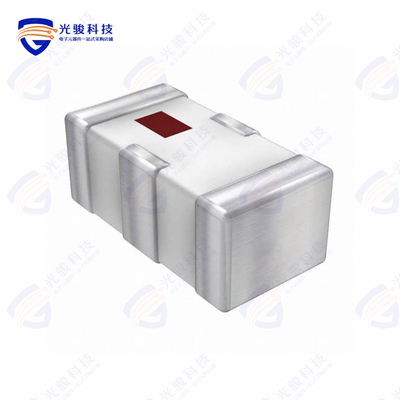2450FM07A0029T《RF FILTR LO PASS 2.4-2.5GHZ 0402》