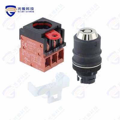 A22TK-2LL-03-01 《SWITCH KEYLCK 2POS 3PST 10A 110V》