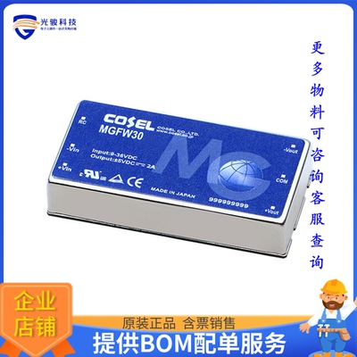 MGFW304812电源模块【DC DC CONVERTER +/-12V】