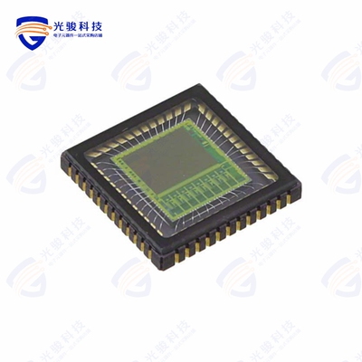 NOIL1SM0300A-QDC《IC IMAGE SENSOR LUPA300 48LLC》
