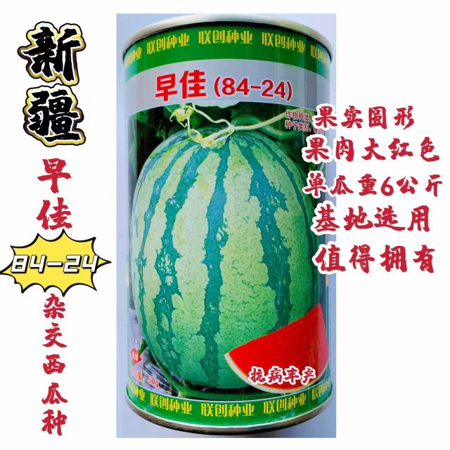 联创早佳8424西瓜种子大果麒麟瓜皮薄高产果肉红质嫩甜脆早熟四季