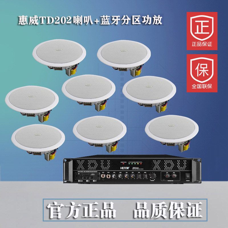Hivi 惠威TD202 吸顶喇叭 吸顶音响/音箱 背景音乐 公共广播套装