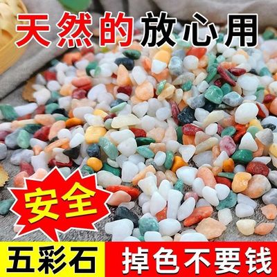 天然五彩石雨花石五花石铺底砂多肉铺面石鹅卵石造景鱼缸彩色石子