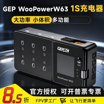 格普WooPowerW631S充电器