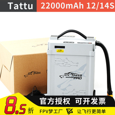 ACE格氏雨燕PRO智能锂电池