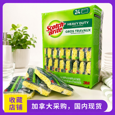 国内现货，加拿大ScotchBrite 洗碗海绵24片/袋百洁布