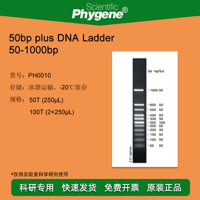 50bp plus 50-1000 DNA Ladder DNA Marker 100T PH0010 PHYGENE