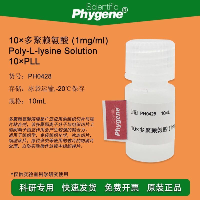 PH0428 10×多聚赖氨酸 1mg/mL实验专用10mL玻片粘合剂 PHYGENE_虎窝淘