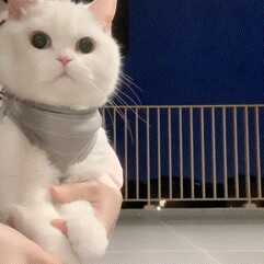 清晰空间小阳台影音室空间服务设计