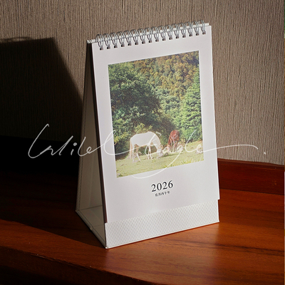 2026月历 原创摄影设计作品台历鹰婕荒野鹰