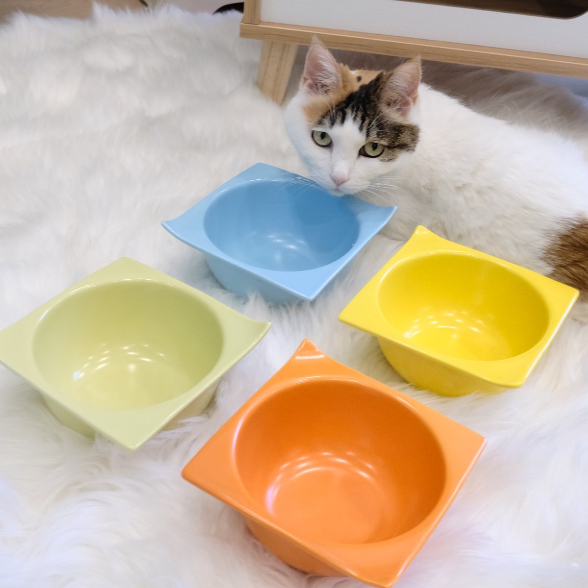 啦调酱 vivipet陶瓷宠物碗猫碗狗碗翘边碗粮碗水碗健康吃好饭