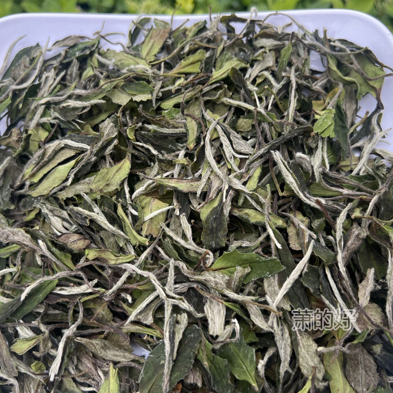 福建白茶2024年花香白牡丹明前散茶白牡丹茶叶500g