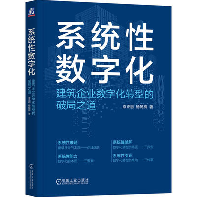 系统性数字化袁正刚杨懿梅