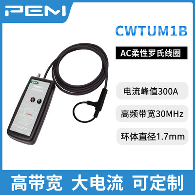 CWTUM1B/1/80 英国PEM 柔性电流线圈rogowski coil