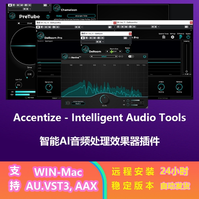 Accentize混音器套装插件