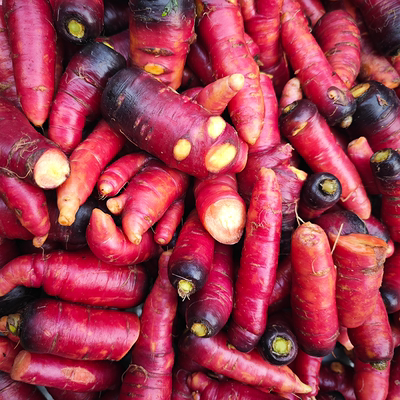 农家老品种露天种植时令蔬菜