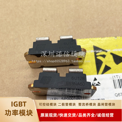全新IGBT模块E53NA50