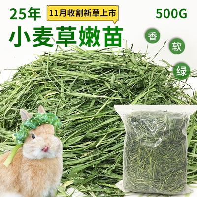 25年烘干小麦草嫩苗干草牧草