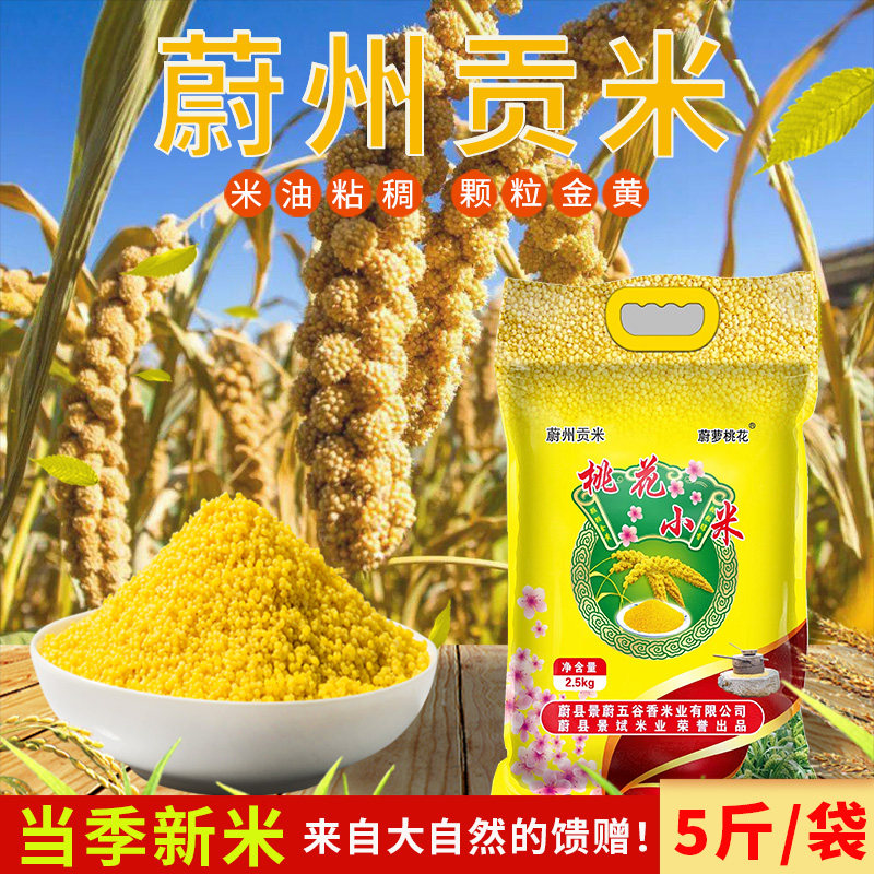 蔚县黄小米5斤/袋新小米粥小米饭米脂米桃花小米河北张家口特产