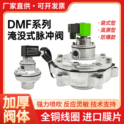 淹没式袋式电磁脉冲阀高原型DMF-Y-40S/50S/62S/76S/89S/102S防爆