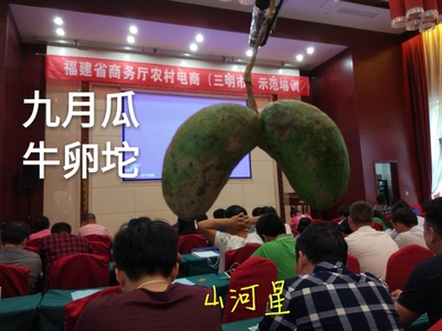 山河星野果新鲜野生水果罗藤包木通果八月瓜牛卵坨牛哈卵九月黄闽