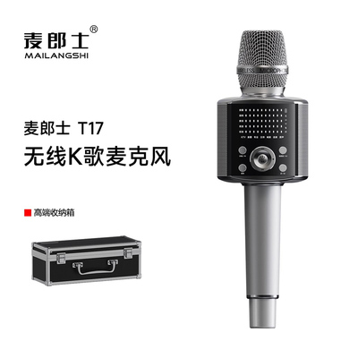 麦郎士T17话筒一体音响麦克风音箱无线蓝牙直播电视KTV唱全民K歌