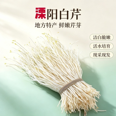 新鲜天目湖特产溧阳白芹无根芹丫水芹新鲜芹菜淮扬菜1斤无根顺丰