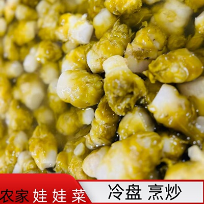 欣佳诚温州腌制娃娃菜头儿菜泡菜大头菜开胃爽口下饭菜泡菜