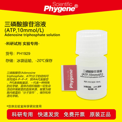 三磷酸腺苷溶液Phygene