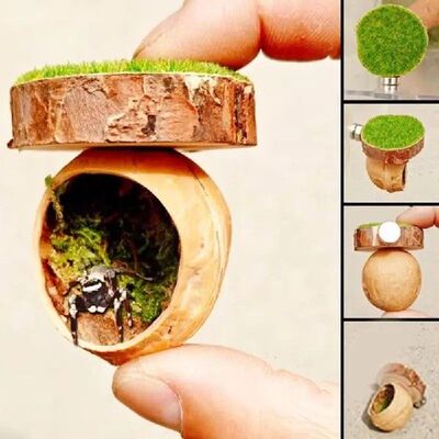 1 Set Handmade Mini Magnetic Spider Habitat Magnetic Spider