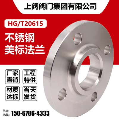 304/316l美标法兰不锈钢SFFM