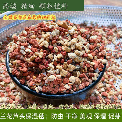 多肉兰花高档石斛铺面赤玉土